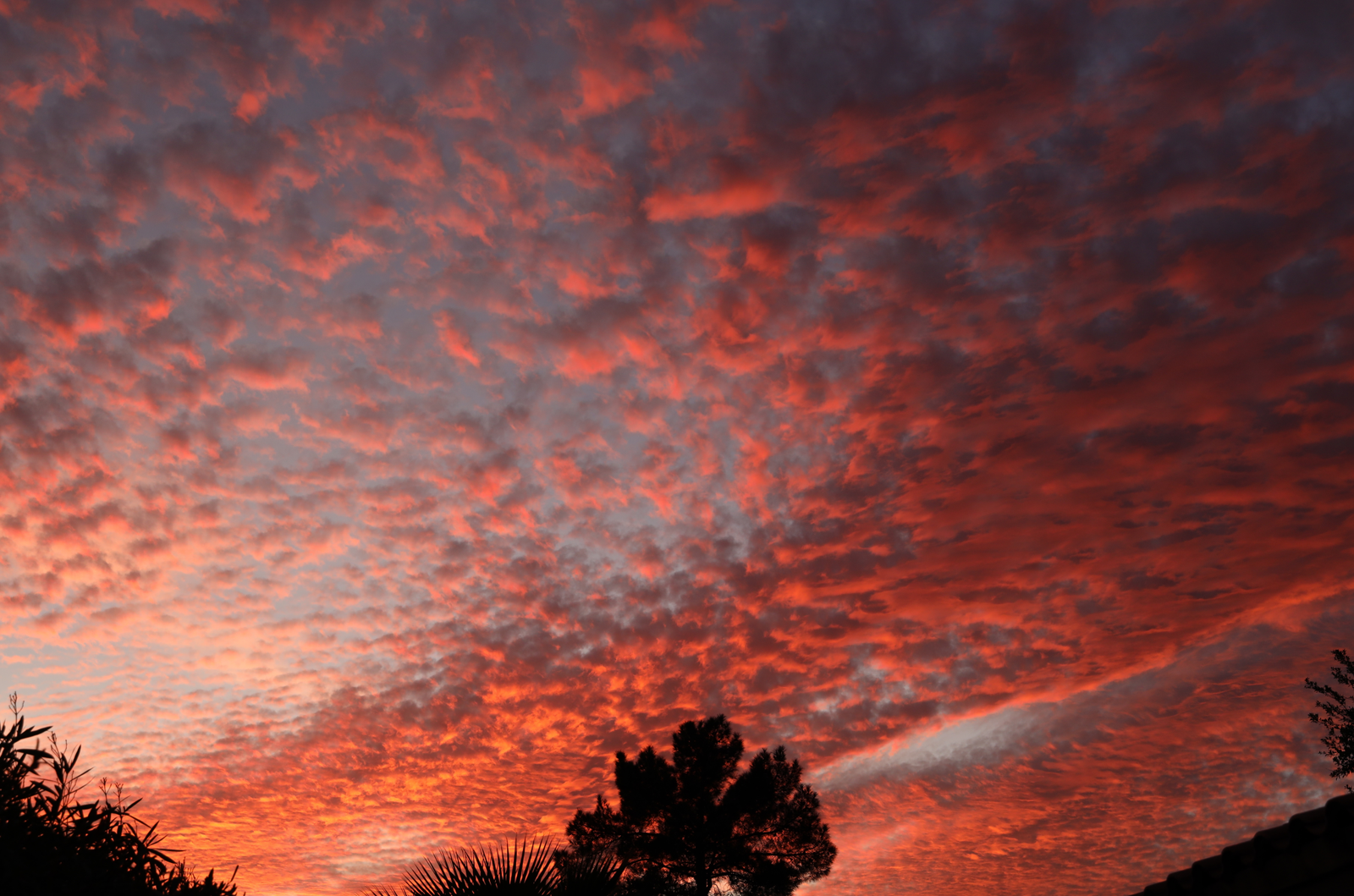 Arizona Sunset - November 22, 2020