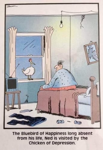 The Chicken of Depression